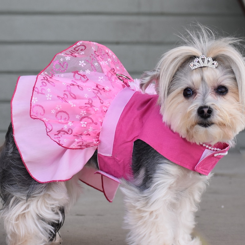 Cute Dog Clothes - Etsy