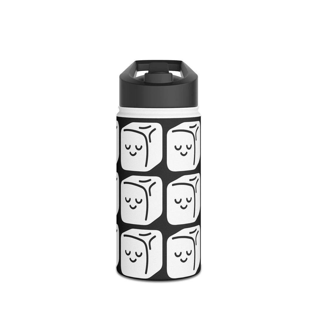 Cute Ice Cube Stainless Steel Water Bottle, Kawaii Drink Container, Eco ...