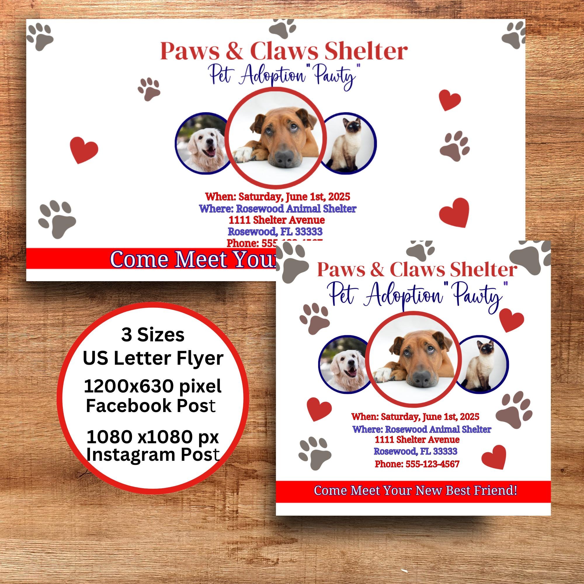 Editable Pet Adoption Event Flyer Template, Adopt a Pet Event Flyer ...