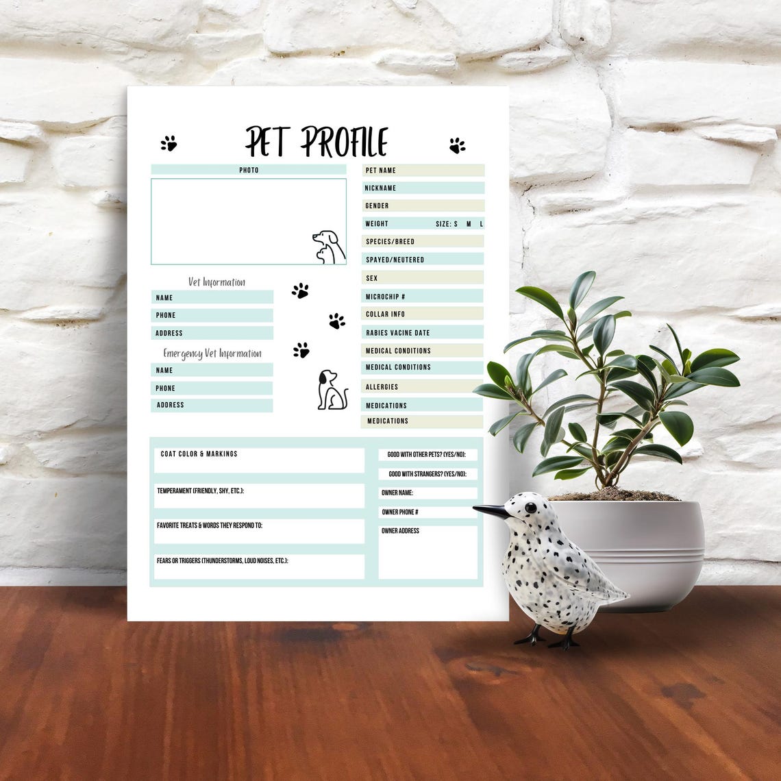 2 Page Pet Record Sheet Printable, Pet Vaccination Record, Pet Health ...