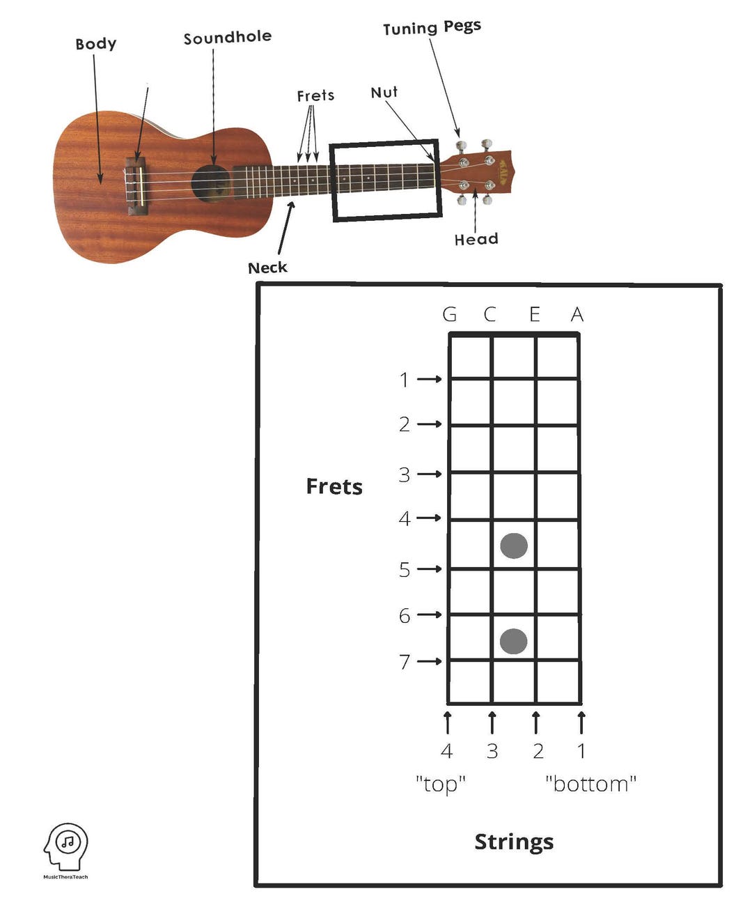 Beginner Ukulele Chord Sheets, Color Coded Chords, Ukulele Diagram - Etsy