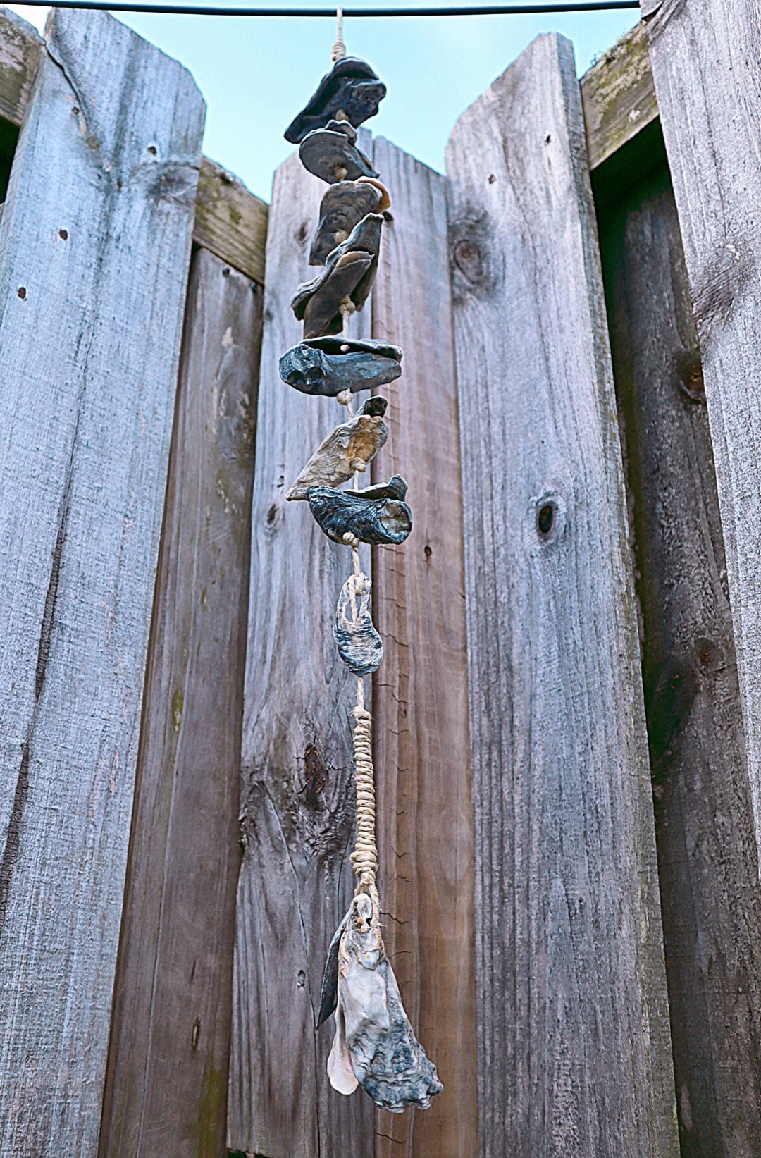 Oyster Shell Wind Chime - Etsy