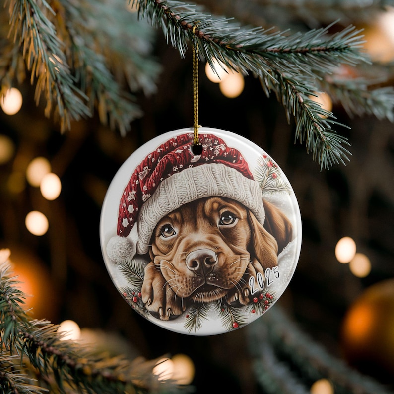 Pitty Puppy Christmas Ceramic Ornament | Pitbull Owner Gift - Etsy