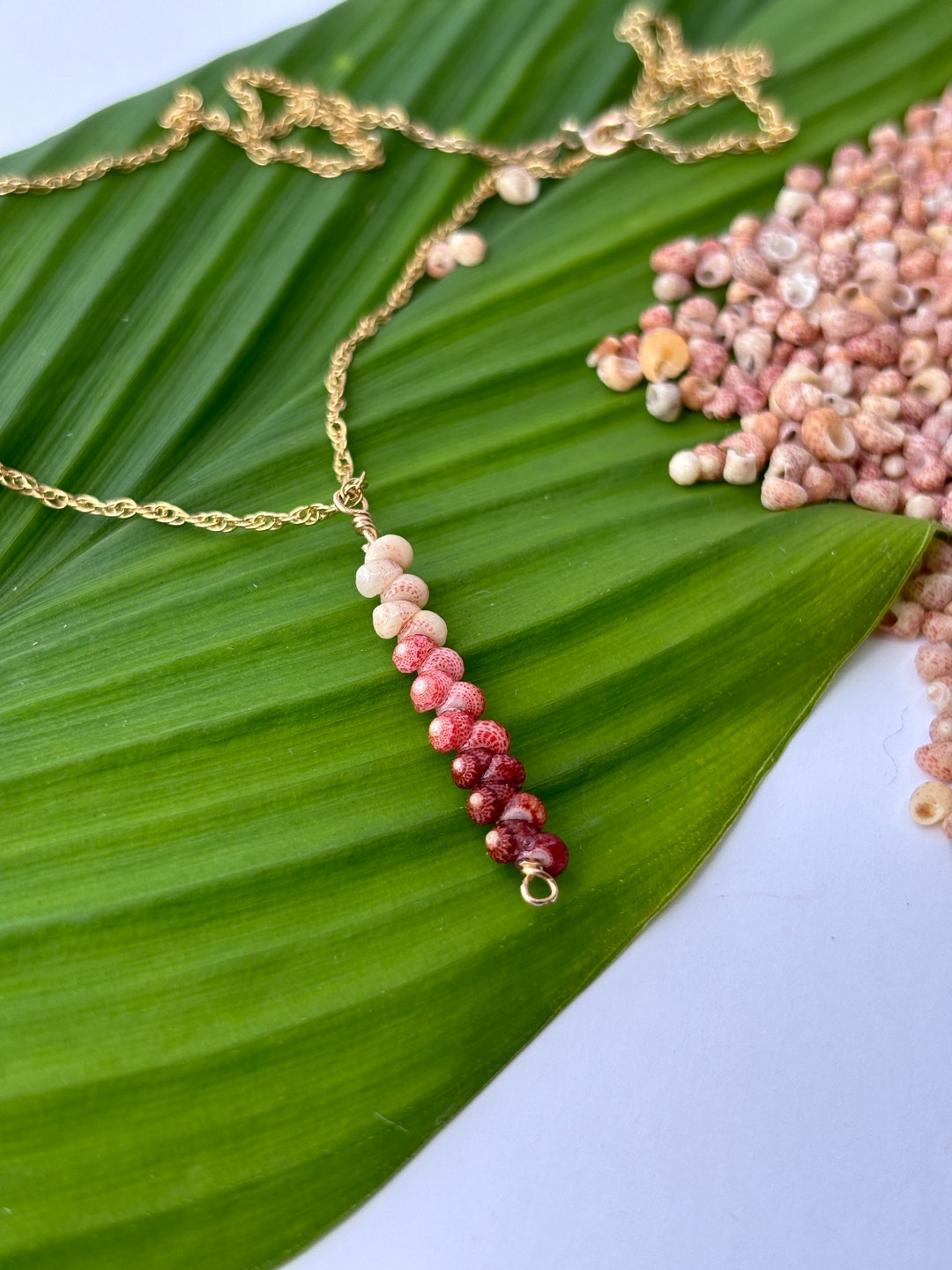 Onaona Kahelelani Shell Ombre Necklace - Etsy