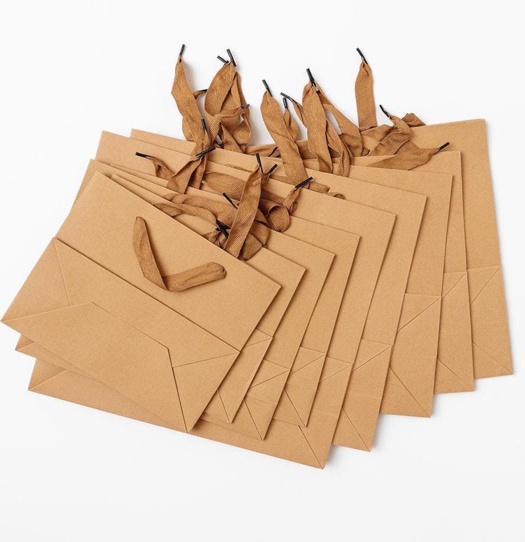 Assorted Kraft Paper Bag Bundle With Heavy Duty Woven Handles, Brown ...