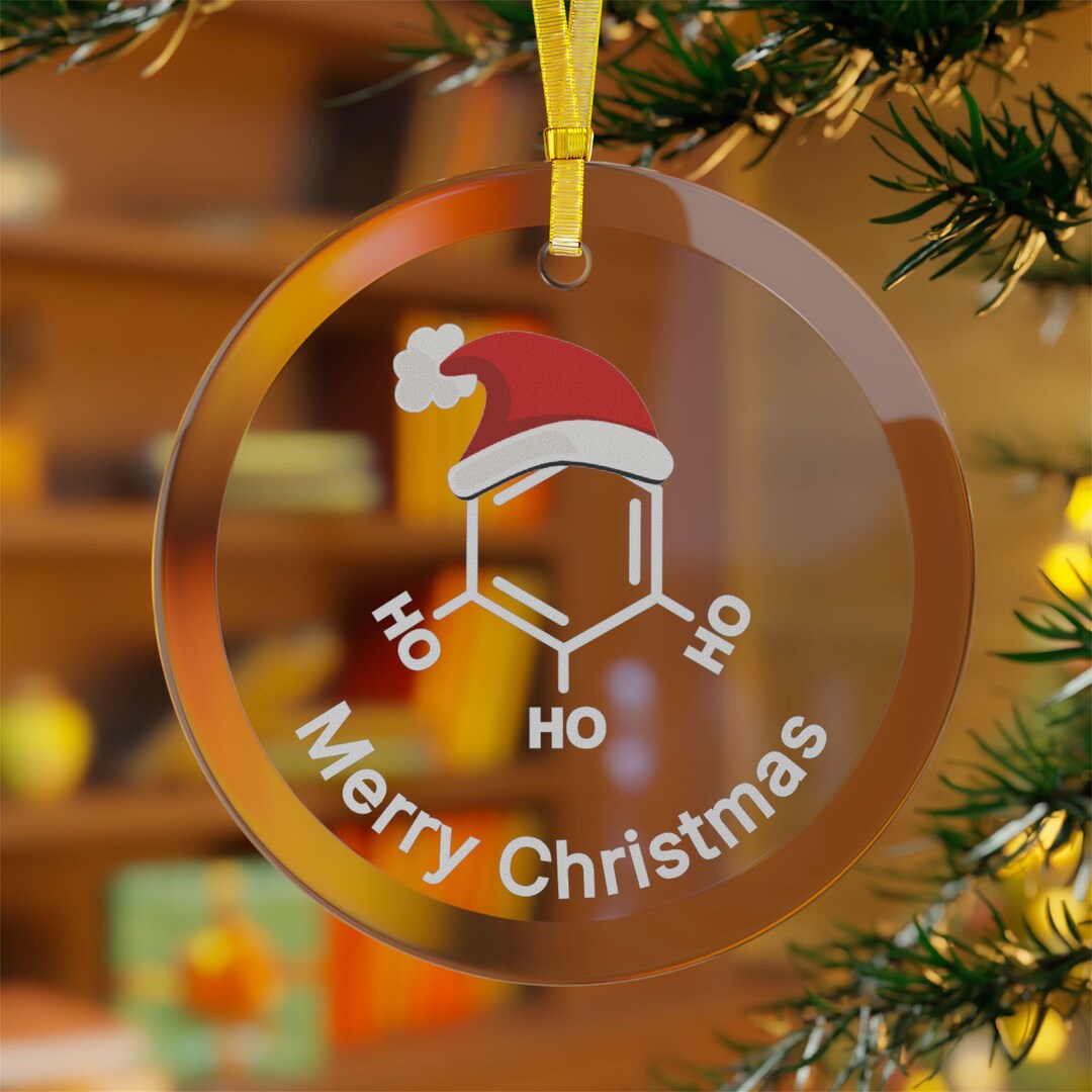 Chemistry Merry Christmas Ornament - Santa Hat Science Gift - Etsy