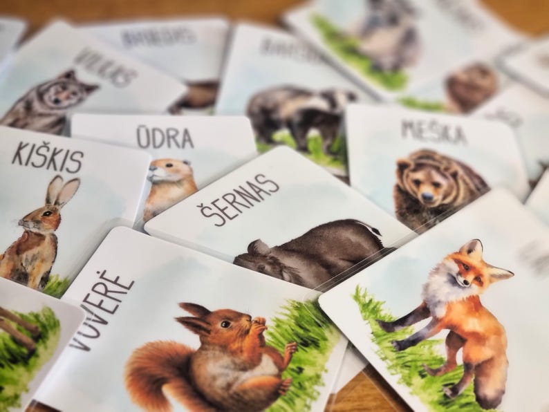 Forest Animal Flashcards - Laminated Kids Learning Cards, Fun Nature ...