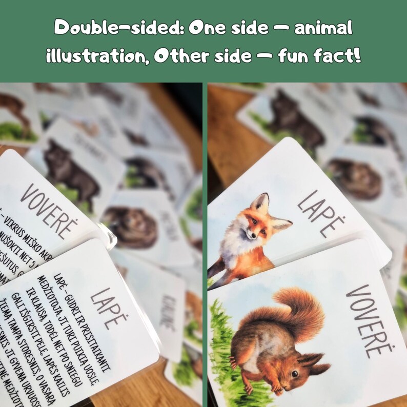 Forest Animal Flashcards - Laminated Kids Learning Cards, Fun Nature ...