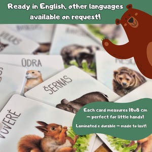 Forest Animal Flashcards - Laminated Kids Learning Cards, Fun Nature ...