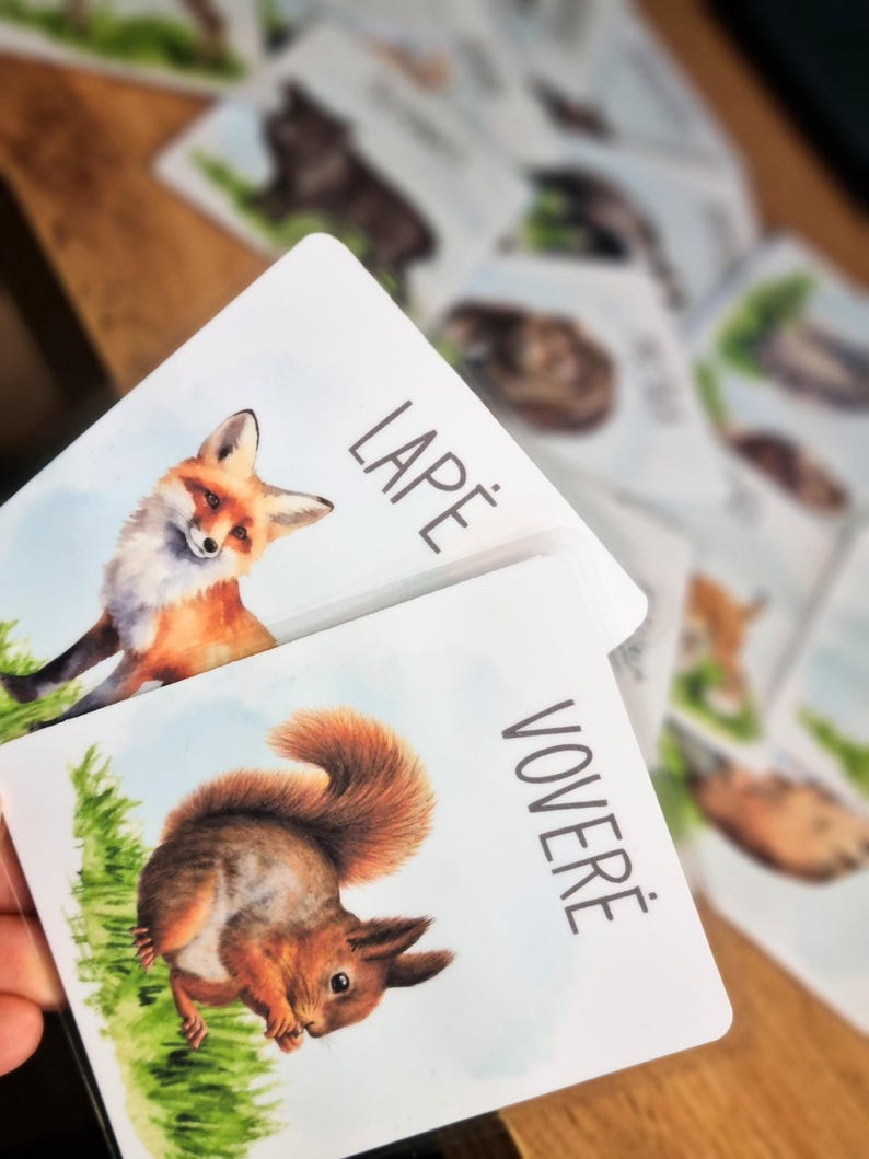 Forest Animal Flashcards - Laminated Kids Learning Cards, Fun Nature ...