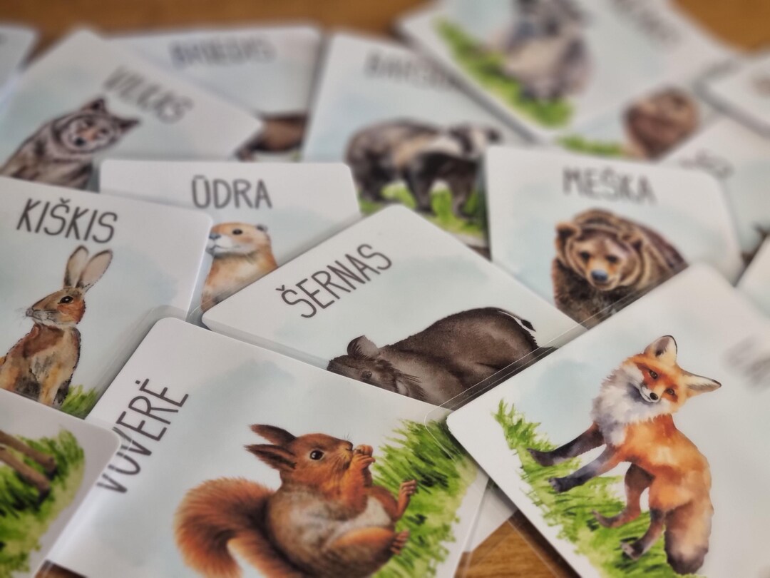 Forest Animal Flashcards - 18 Laminated Learning Cards for Kids, Fun ...