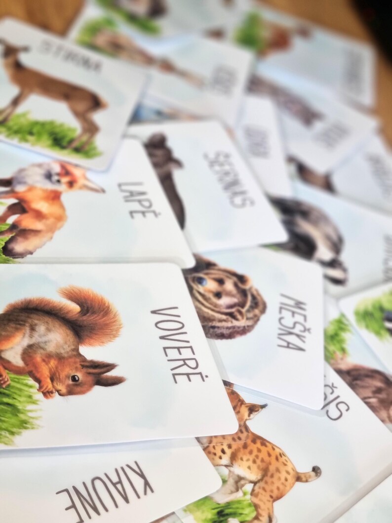 Forest Animal Flashcards - Laminated Kids Learning Cards, Fun Nature ...