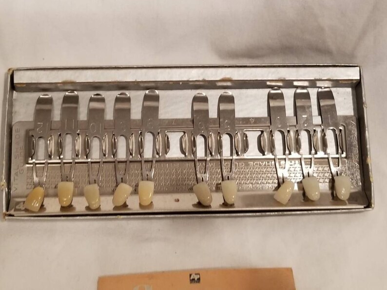 Vintage Dentist Tooth Shades Sample Austenal Teeth - Etsy
