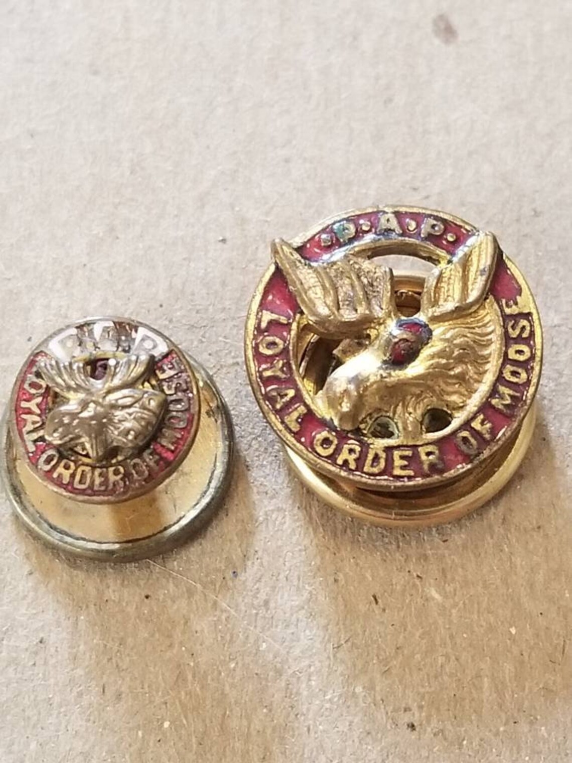 2 Moose pins screw back Loyal Order of the Moose vintage | Etsy