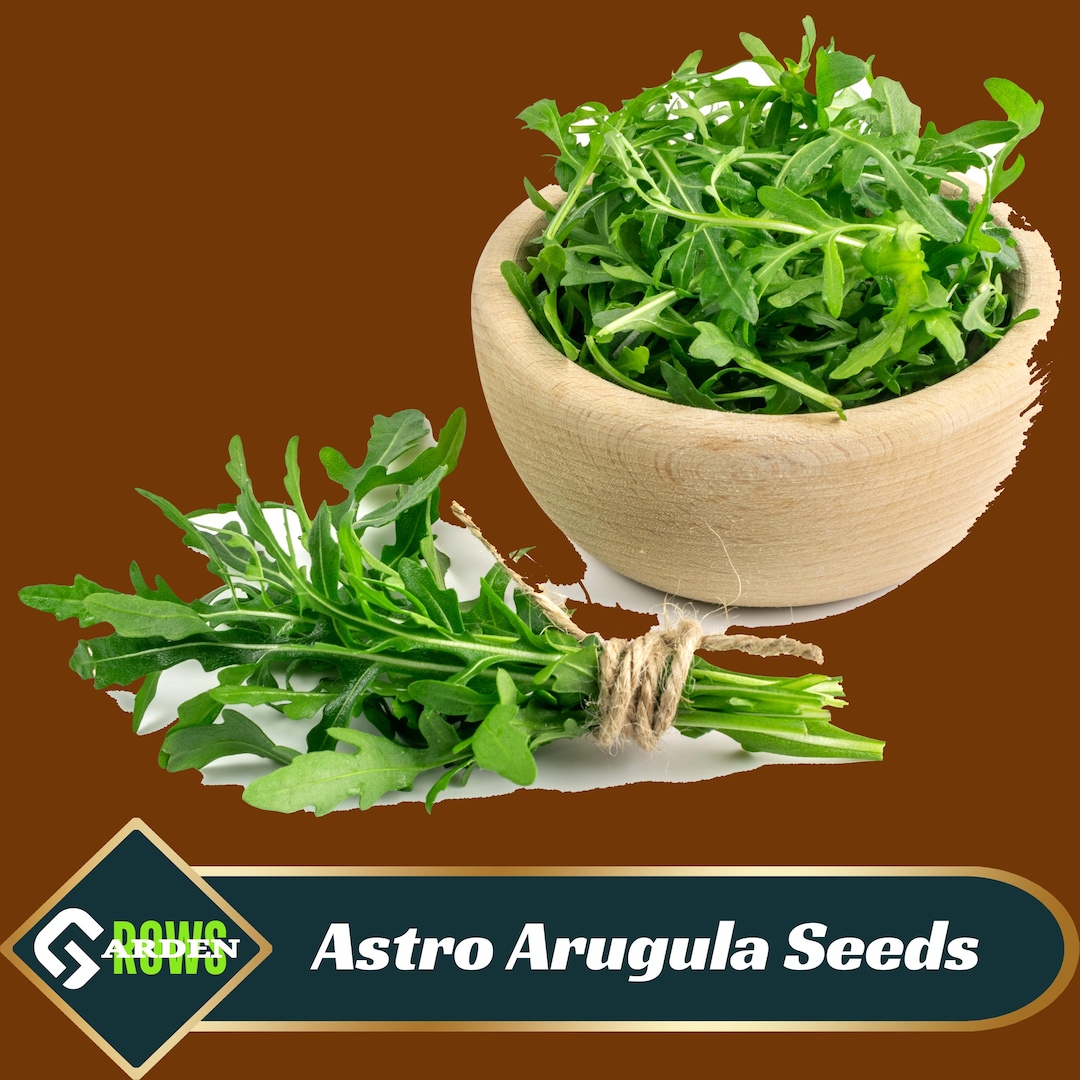 Astro Arugula Seeds - Edible - Fast Growing - Mild Flavor - Heat ...