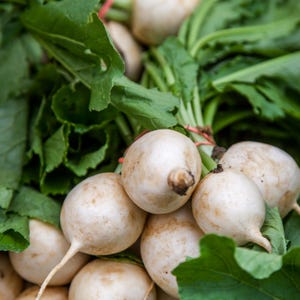 Seven Top Turnip Seeds- Biennial - Edible - Fast Growing - Cold ...