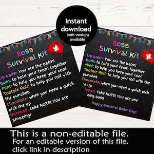 Boss Survival Kit | Funny Gifts for Boss on Birthday | Boss Promotion ...