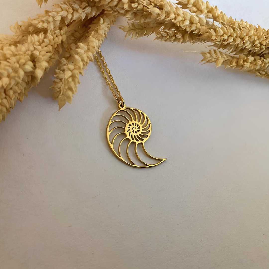14K Gold Nautilus Shell Necklace: Minimalist Ocean Jewelry - Etsy