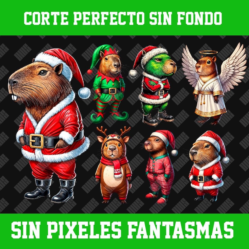 Disfraz de capibara - Etsy España