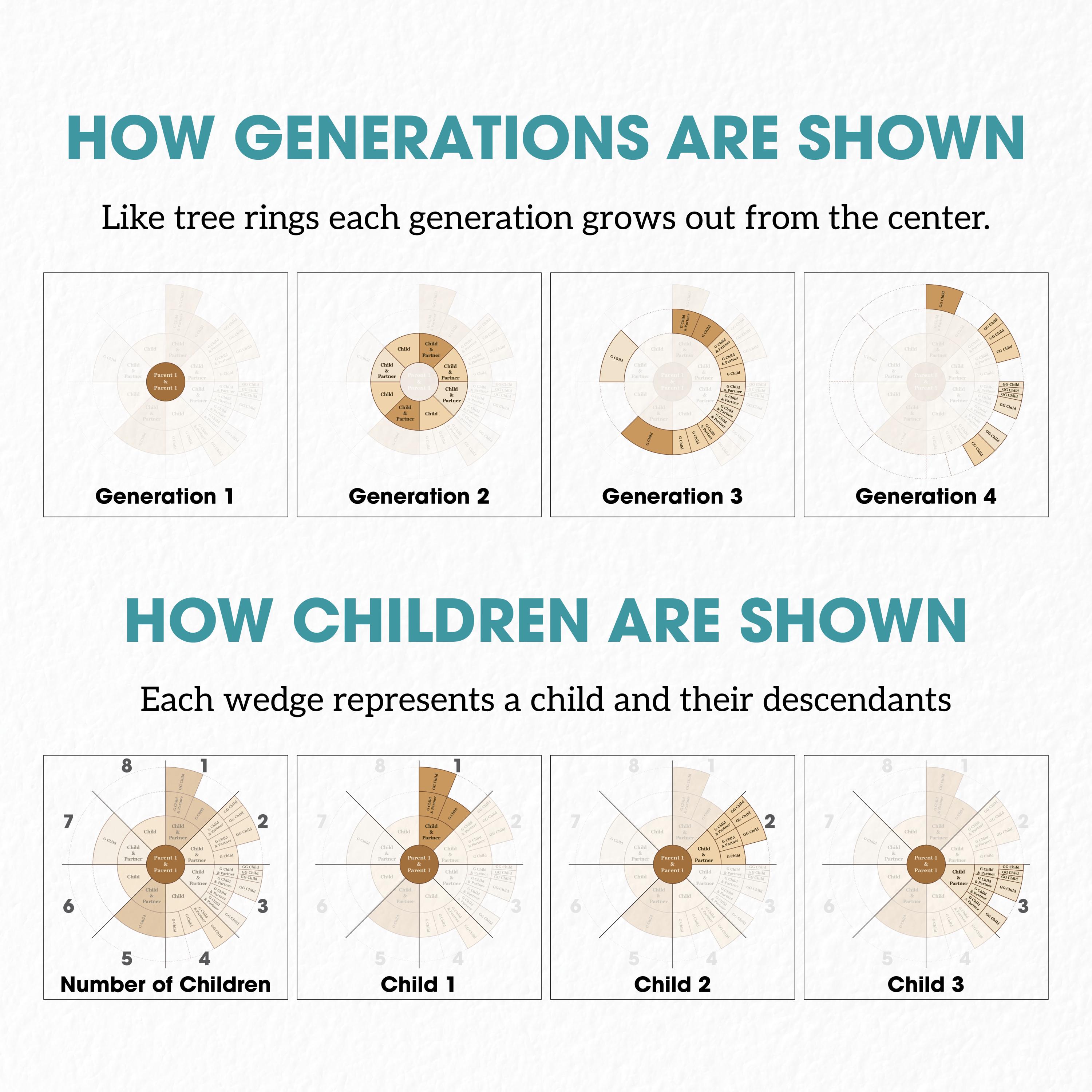 2-4 Generation Descendants Family Tree: Antique Style. Perfect Gift for ...