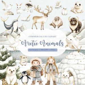 Watercolor Arctic Animals Clipart, Polar Bear, Owl, Wolf, Seal, Penguin ...