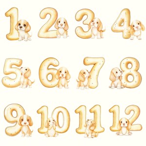 Cute Dog Watercolor Clipart, Baby Monthly Milestone Clipart, Birthday ...