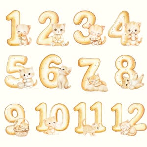 Watercolor Kitten Clipart, Baby Monthly Milestone Clipart, Birthday ...
