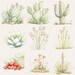 Desert Animals Watercolor Clipart, Explorers Clipart, Desert Animals ...
