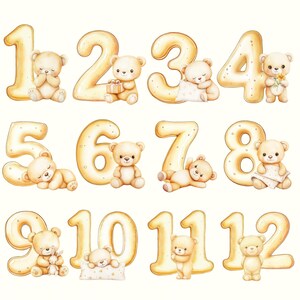 Teddy Bear Clipart, Baby Monthly Milestone Clipart, Birthday Clipart ...