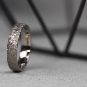 Titanium Ring Meteorite Surface Effect. Titanium Asteroid Ring. Comfort Fit. Titanium Wedding ...