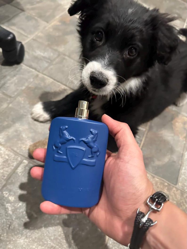 Parfums De Marley Percival EDP Eau De Parfum Fresh Cologne Daily ...