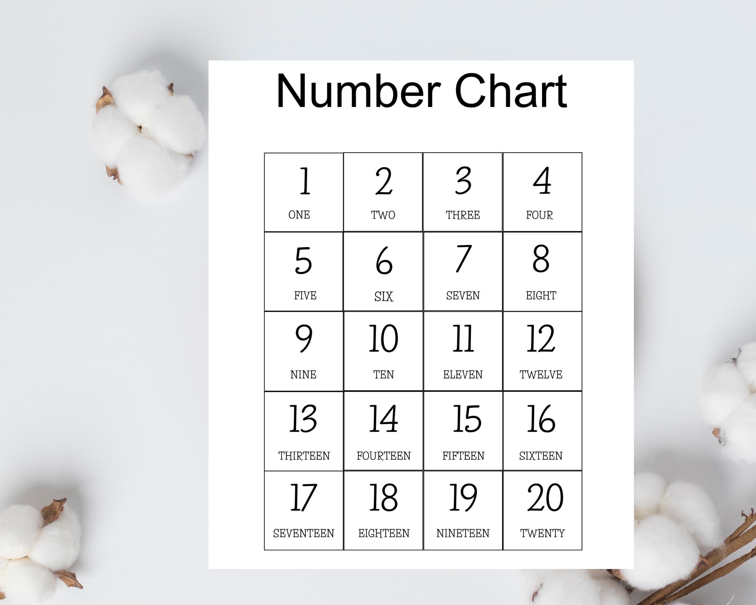 Number Chart 1-20 | Numbers 1 to 20 Printable | Numbers and Counting ...