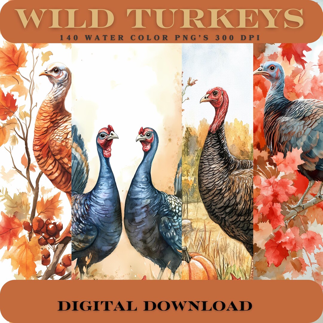 Watercolor Wild Turkeys Clipart PNG Bundle, 140 High-resolution 300 DPI ...