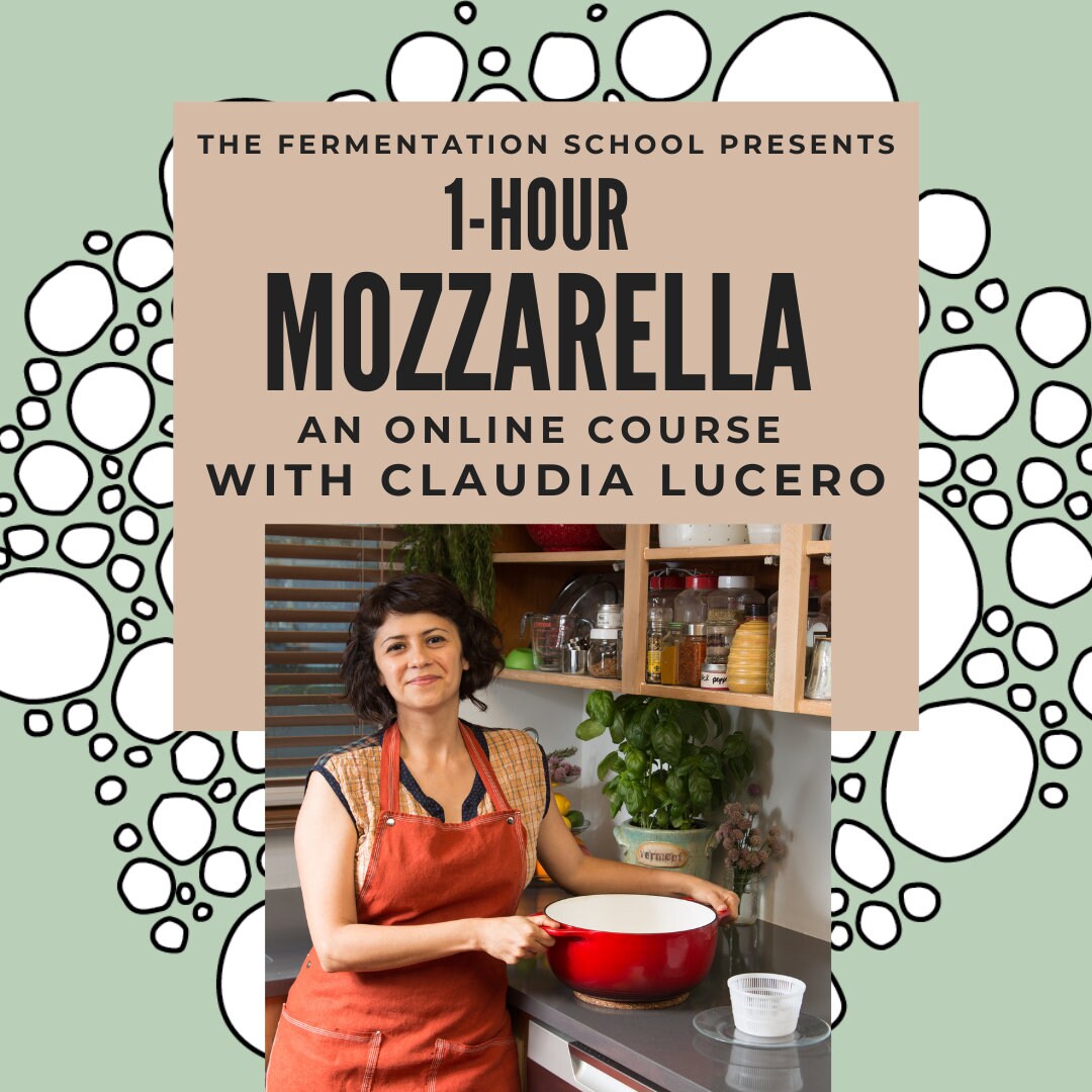 ONLINE MOZZARELLA and String Cheese Making Class, Experience Gift for ...