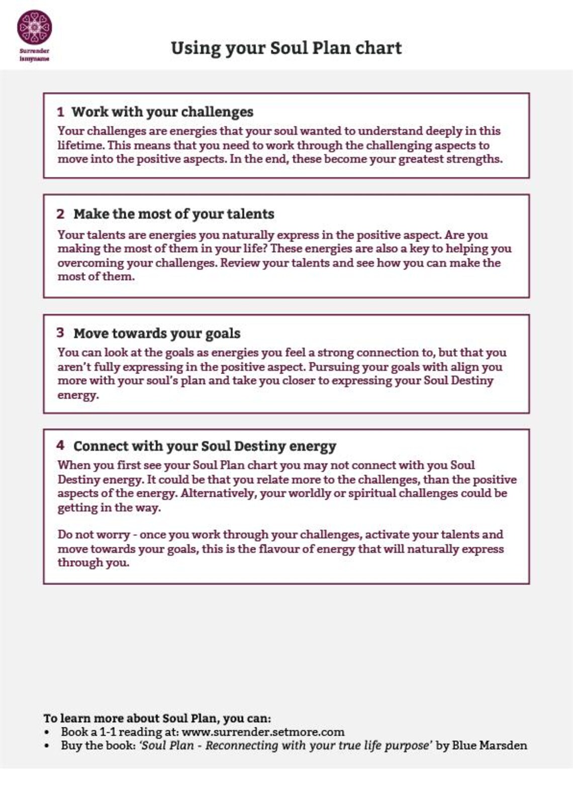 Soul Plan Report - Basic - Etsy