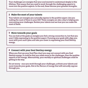 Soul Plan Report - Basic - Etsy