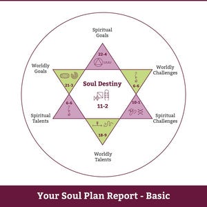 Soul Plan Report - Basic - Etsy