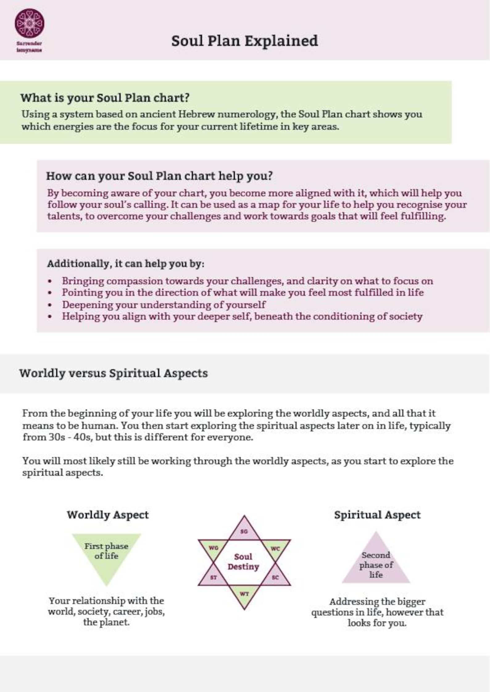 Soul Plan Report - Basic - Etsy