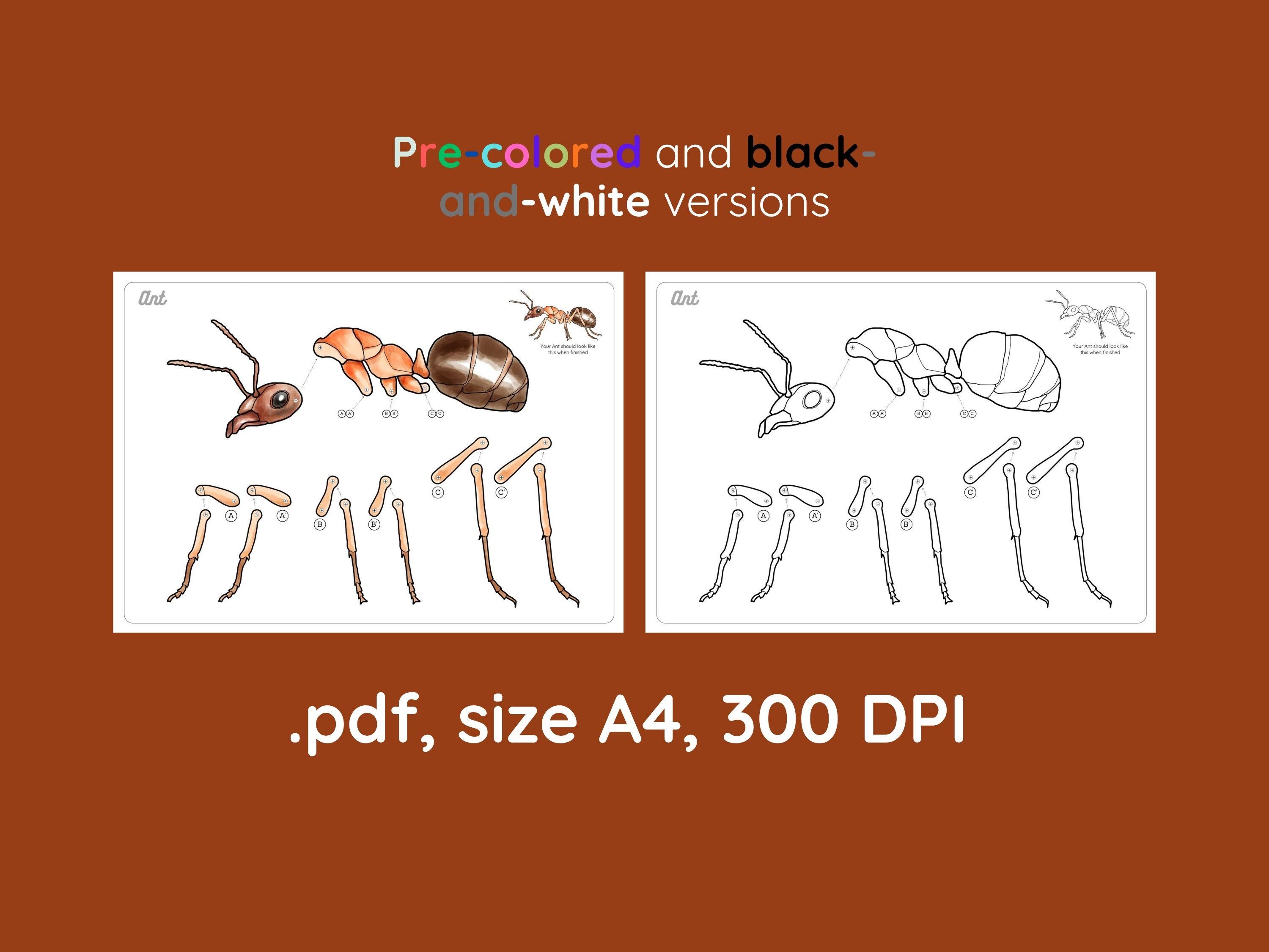 Articulated Ant Paper Puppet Craft Kit | Printable Insect Assembly Toy ...