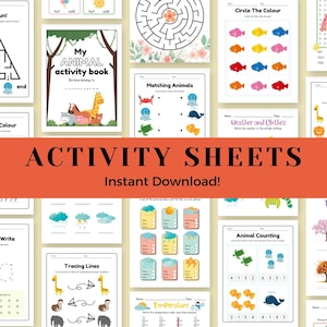Set of 8 Bilingual English and Chinese Educational Posters + Activity ...
