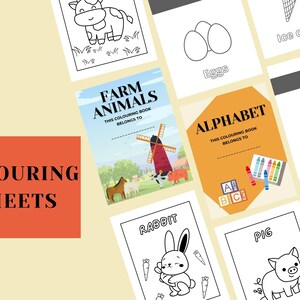 Set of 8 Bilingual English and Chinese Educational Posters + Activity ...