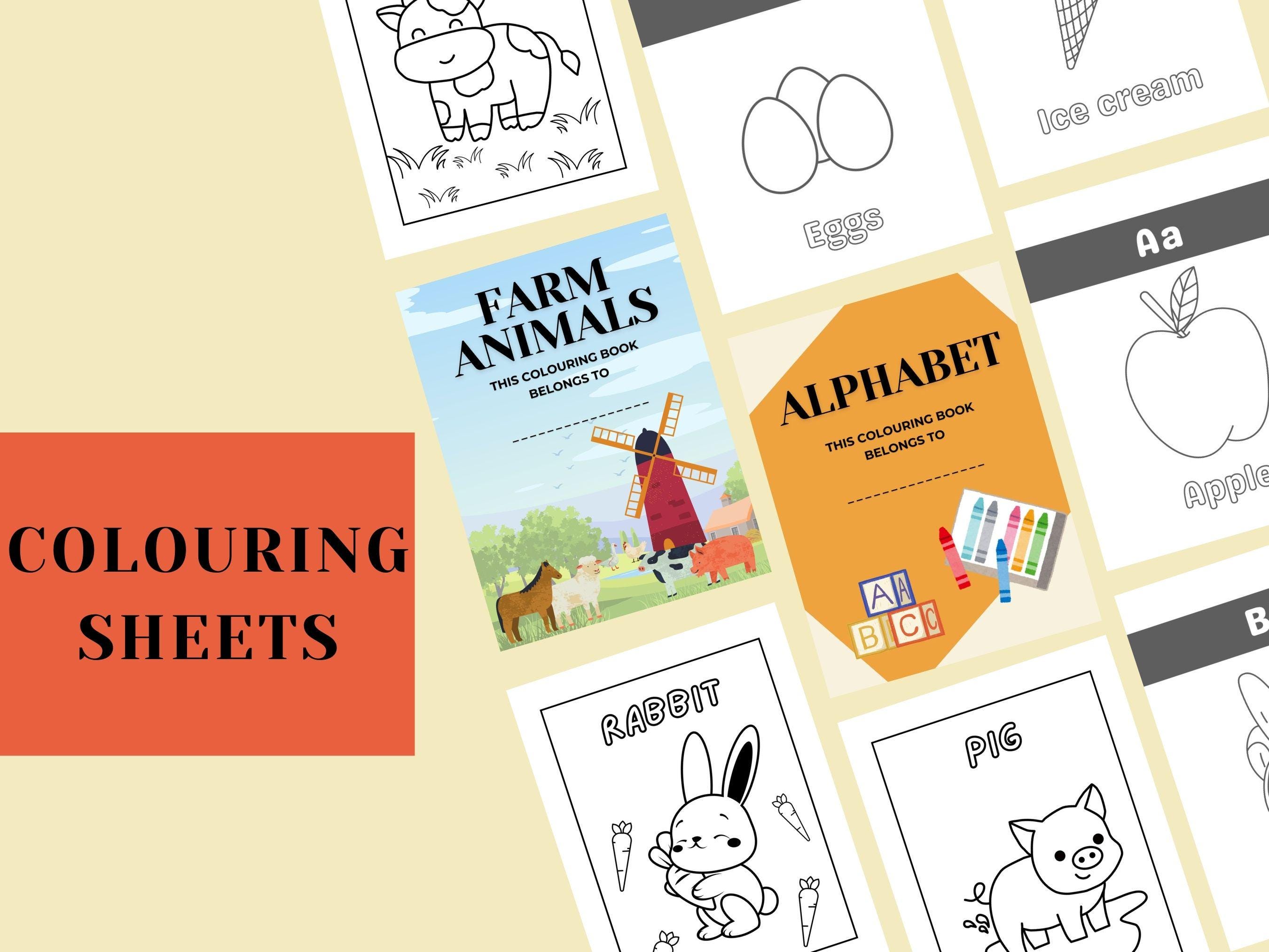 Set of 8 Bilingual English and Chinese Educational Posters + Activity ...