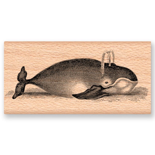 Whale Rubber Stamp - Etsy