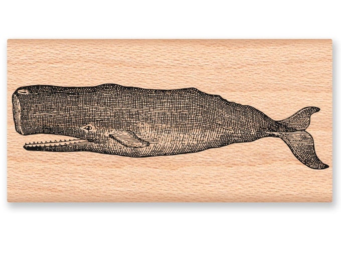 WHALE RUBBER STAMP moby Dick Tale Storysperm Whalelarge Stampocean Sea ...