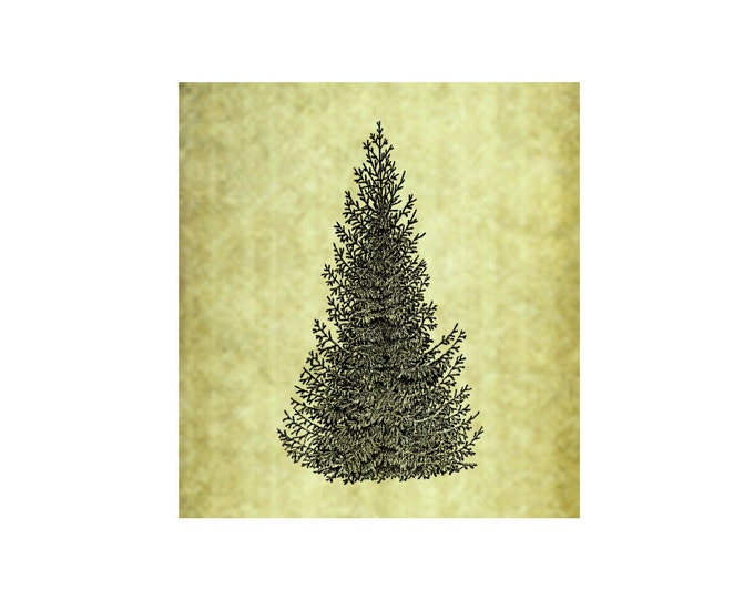 PINE TREE Rubber Stamp~cling Stamp~rustic Forest Evergreen Nature ...