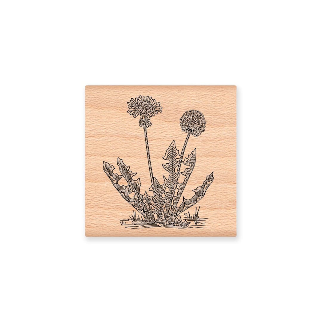 DANDELION Rubber Stamp~dandelion Weeds~wild Flower~greens~spring~summer ...