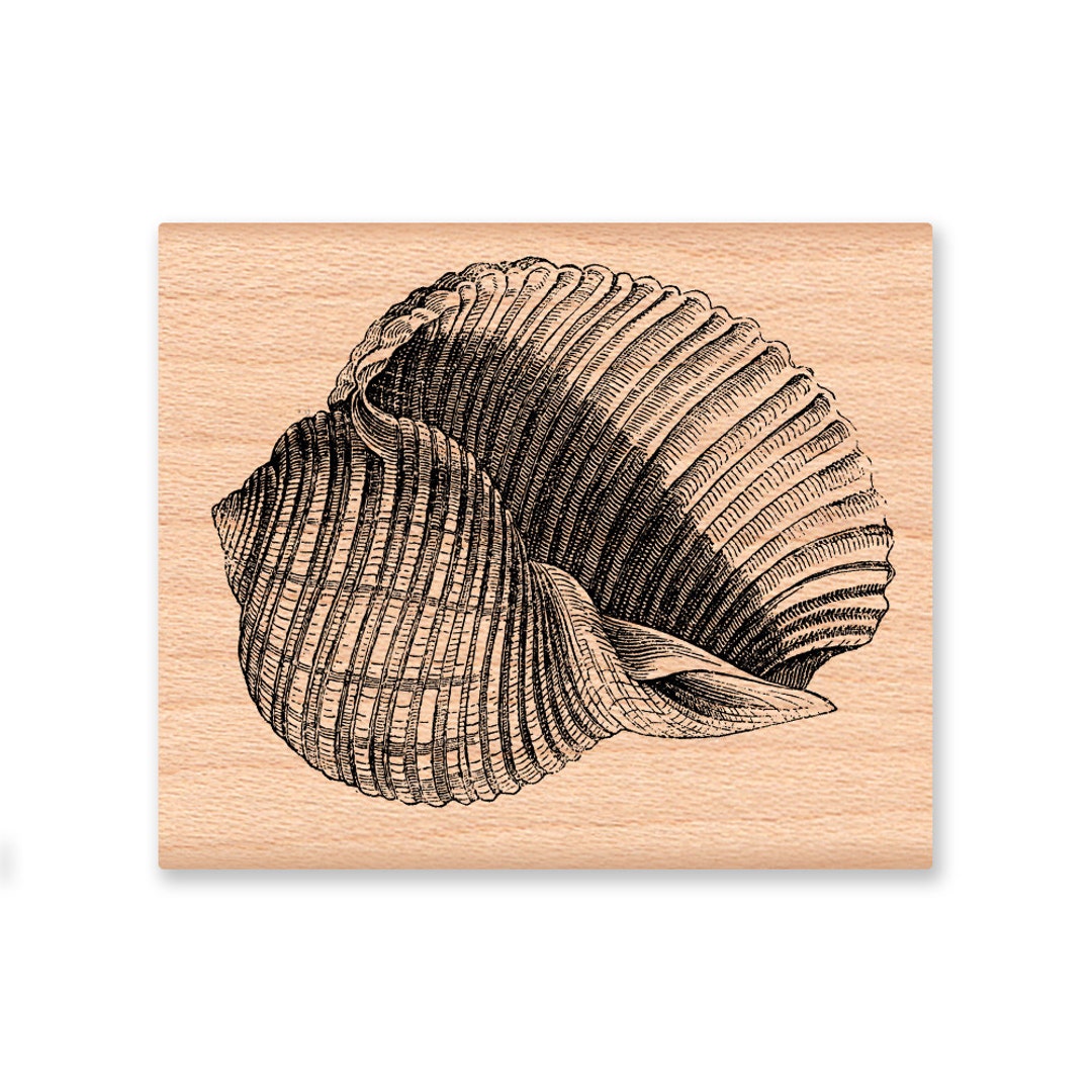 SEA SHELL Rubber Stamp~large Shell~ocean or Nautical Decor or Theme ...
