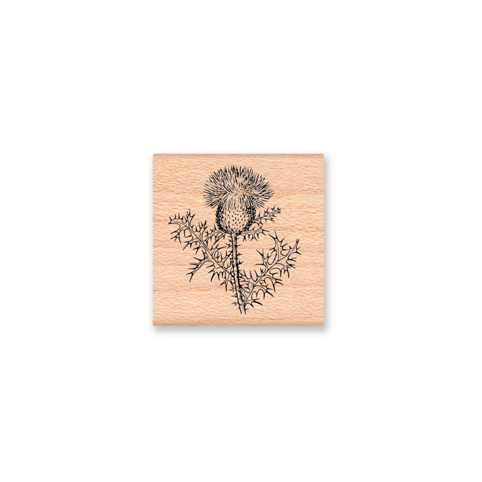 THISTLE FLOWER Rubber Stamp~scottish or Scotland Botanical Plant~wood ...