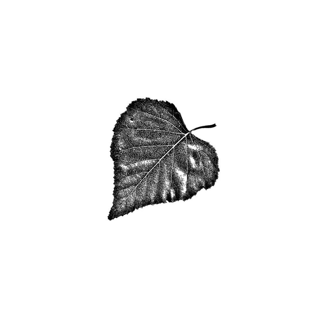 BIRCH LEAF Rubber Stamp~birch Tree Single Leaf~forest Woods Rustic ...