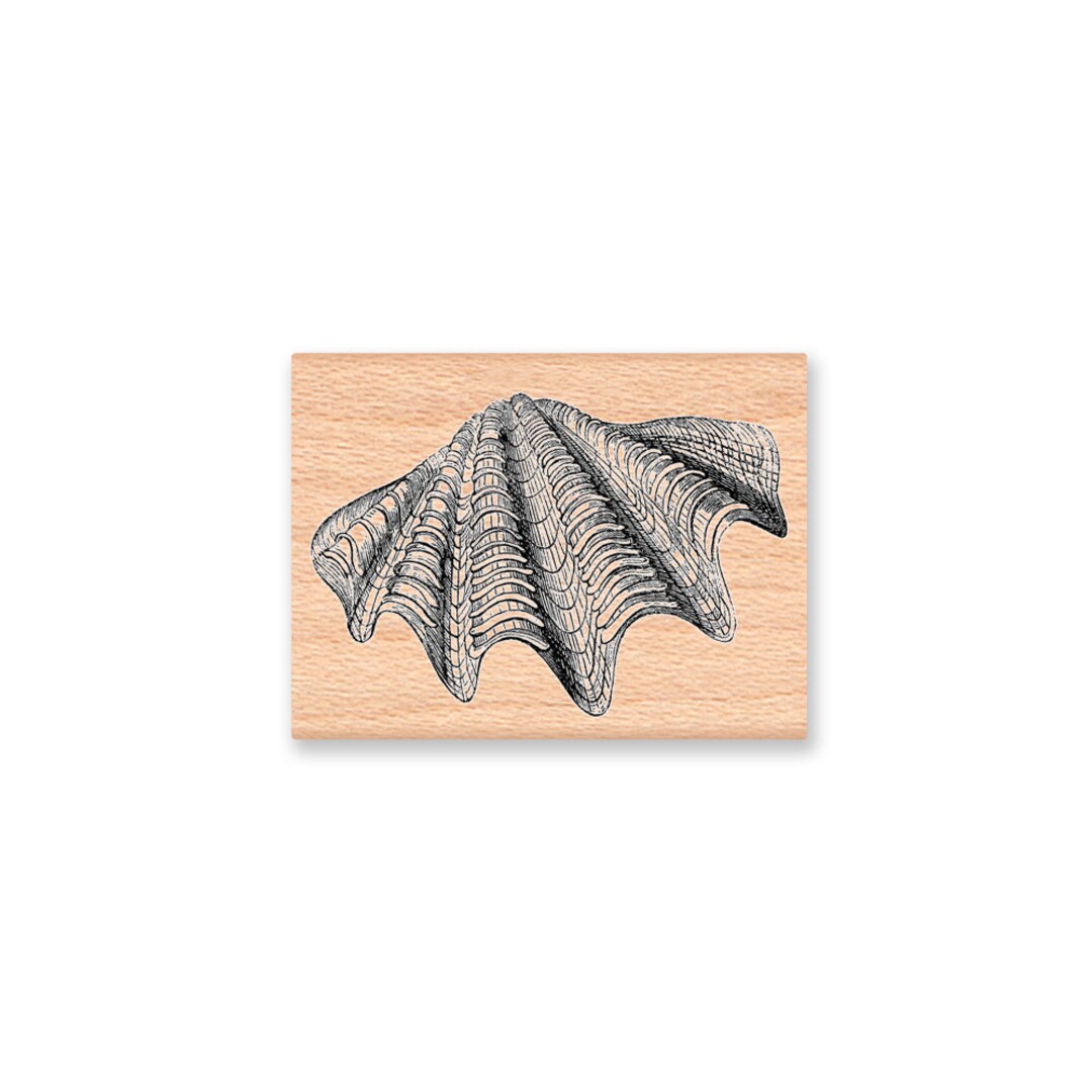 CLAM SHELL Rubber Stamp~sea Shell Stamp~nautical Theme~large Stamp~wood ...
